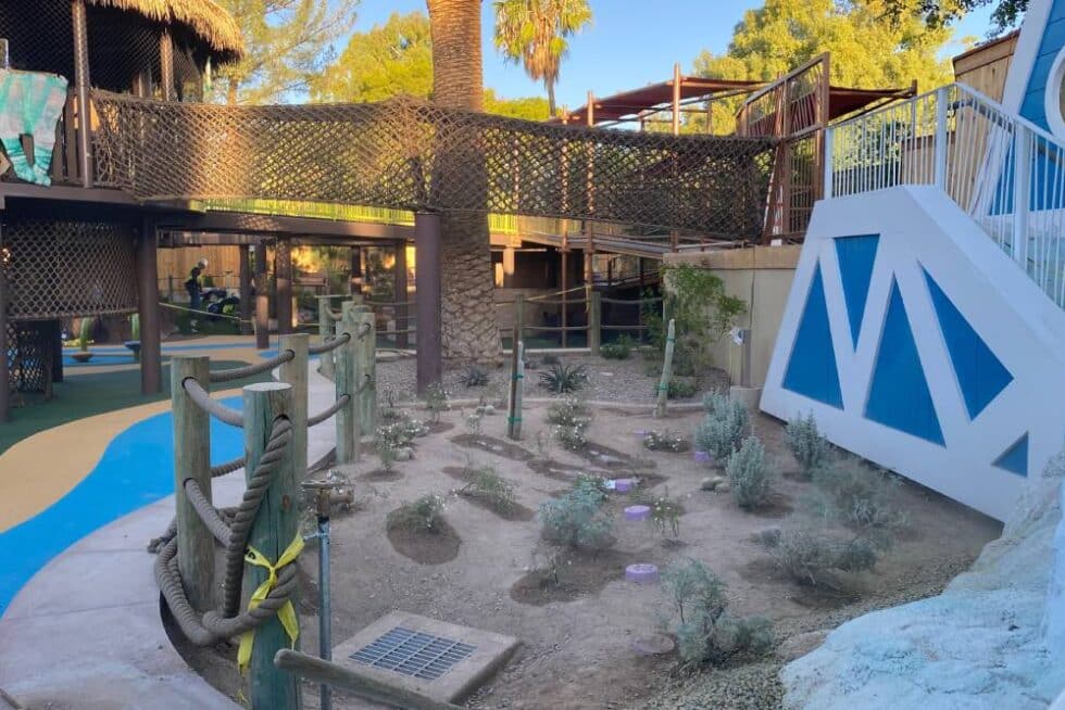 Arcadia Landscape: Expert Landscaping for Your Outdoor Space