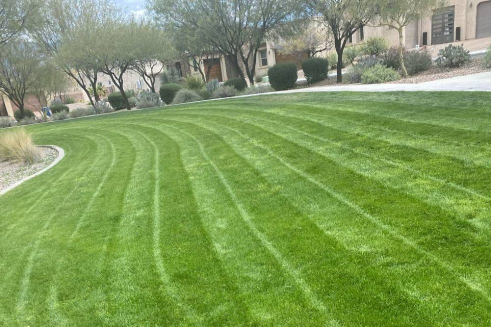 Arcadia Landscape: Expert Landscaping for Your Outdoor Space
