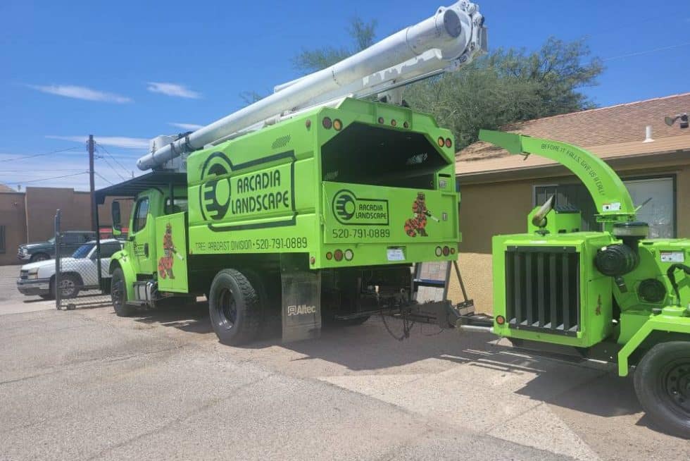 Arcadia Landscape: Tucson Commercial Landscaping Services